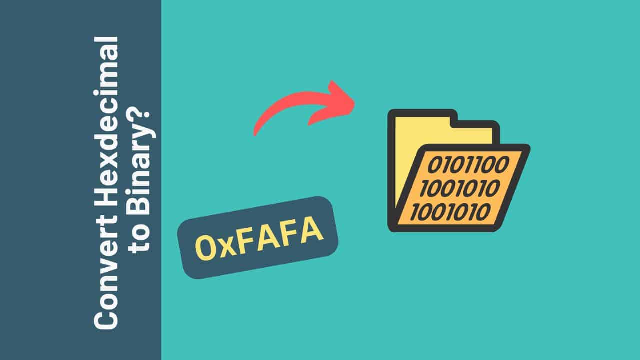 freecoder.dev - Best way to learn coding and become an expert